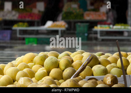 Chinese grapefruit, a.k.a. pomelo and shaddock, fresh fruits, green and ...