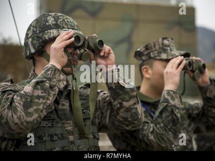 A U.S. Marine Corps M58 Mine Clearing Line Charge (MICLIC) fires a ...