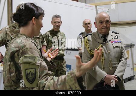 U.S. Army Lt. Col. Ann Sampson, the laboratory officer in charge of the ...
