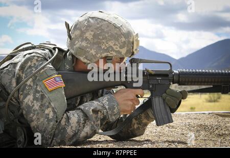 The U.S. Army Reserve 319th Expeditionary Signal Battalion (ESB ...