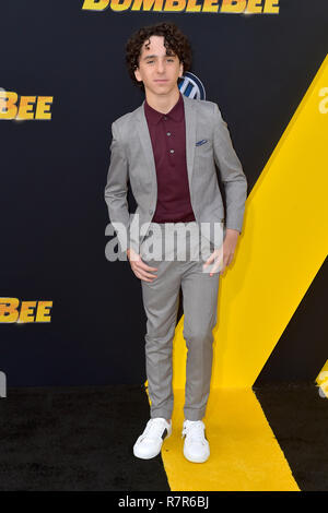 Jason Drucker at the world premiere of the movie 'Bumblebee' at the TCL ...