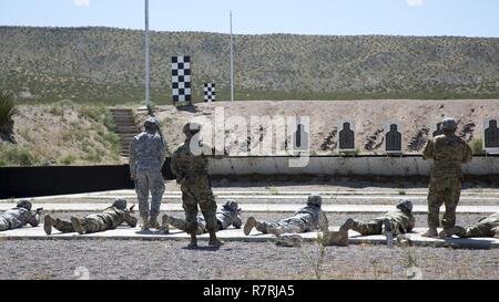 Soldiers from the Army's 2916th Aviation Battalion and 916th ...