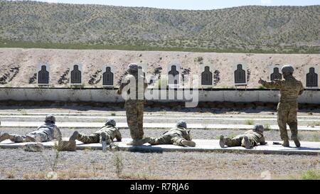 Soldiers from the Army's 2916th Aviation Battalion and 916th ...
