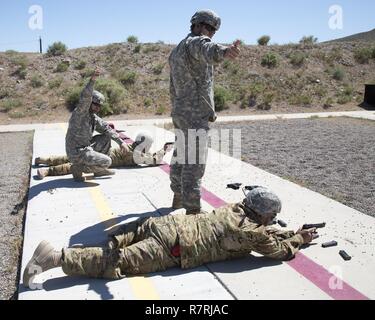 Soldiers from the Army's 2916th Aviation Battalion and 916th ...