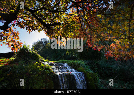 Waterfall and lake at Little Bredy, Dorset Stock Photo - Alamy