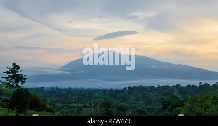 Scenic view of Mount Cameroon mountain with green forest during sunset ...
