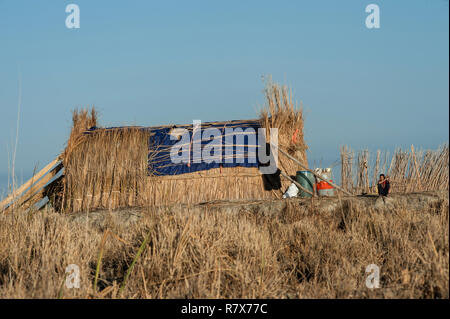 Marsh Arabs in a traditional reed boat near Basra, Southern Iraq Stock ...