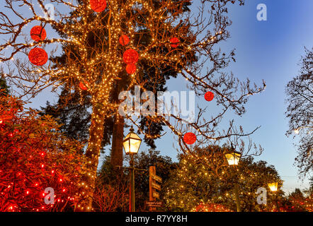 Christmas Canyon Lights, Capilano Suspension Bridge Park, North ...