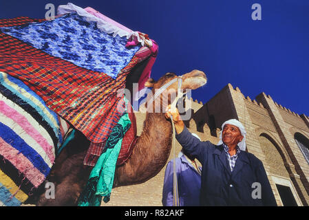 A camel with a howdah carriage outside the Great Mosque at Kairouan ...