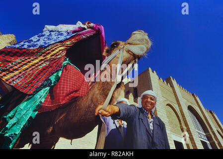 A camel with a howdah carriage outside the Great Mosque at Kairouan ...