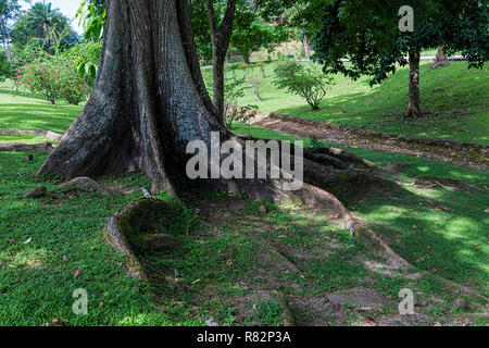 Trinidad and Tobago Stock Photo - Alamy