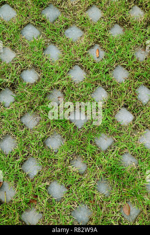 Top View of Turf Stone Paver with Green Grasses Stock Photo - Alamy