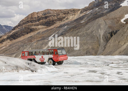 Brewster Ice Explorer bus, Columbia Icefields, Jasper National Park ...