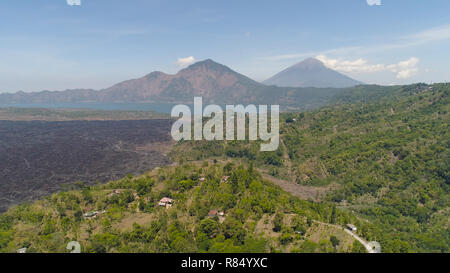 Aerial view volcano batur covered with vegetation mountain landscape ...
