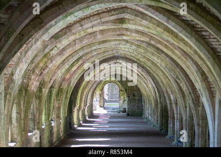 Rib vaultings repeat along the ceiling of the Fountains Abbey cellarium ...
