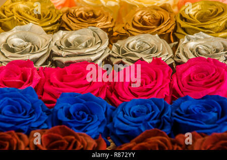 Bunch of beautiful and colorful different type of flowers Stock Photo ...
