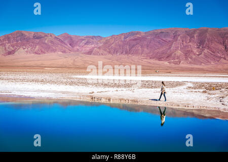The Red Lagoon in northern Chile Stock Photo - Alamy
