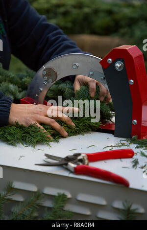 A young Woman using a wreath making machine to make Christmas wreaths ...