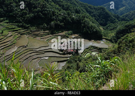 A cluster of traditional houses forming the remote village of Batad ...