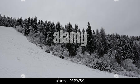 a big wave of bad weather with blizzard wind and great cold Stock Photo ...