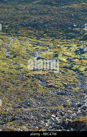 textured landscape of wet, rocky terrain with shallow pools of water ...