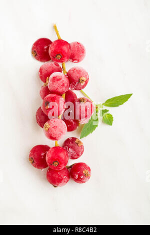 frozen red currant Stock Photo - Alamy