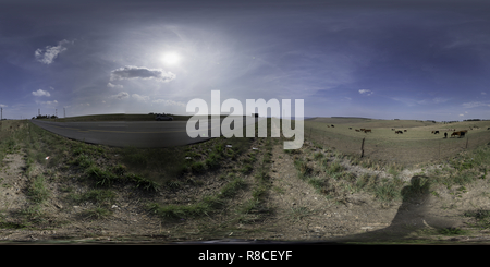 360° view of Spherical Cows 10 Panorama - Alamy