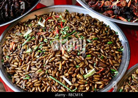 Bugs and worms in a asian food market in Beijing, China Stock Photo - Alamy