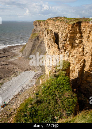 A limestone cliff face in the South Western coast of the Maltese ...