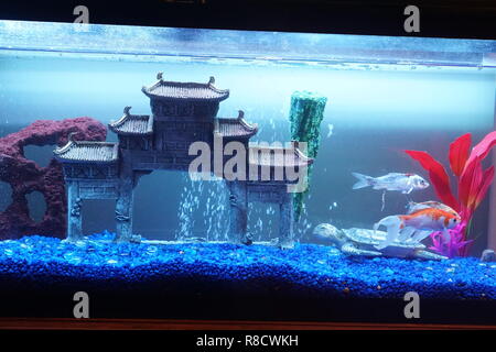 Aquarium Ancient Asian Fish Tank Stock Photo - Alamy