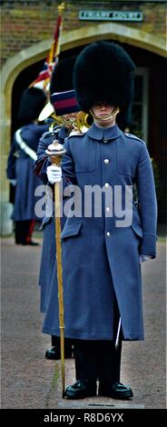 WO1 GSM Andrew `Vern` Stokes - Coldstream Guards Stock Photo - Alamy