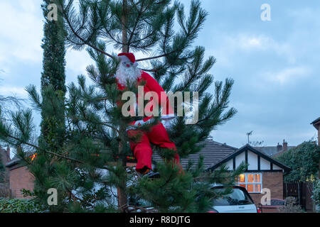 Dummy of Father Christmas in a tree in a front garden Stock Photo - Alamy
