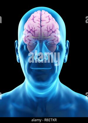 Illustration of an old man's brain Stock Photo - Alamy