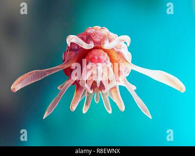 Illustration of a conceptual cancer monster Stock Photo - Alamy