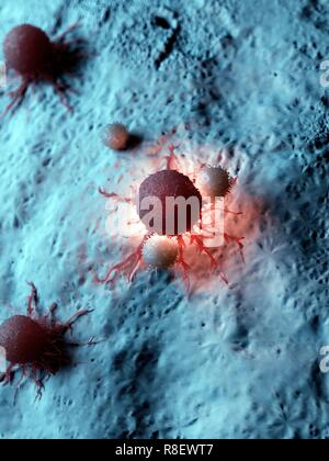 Illustration of a cancer cell being attacked by white blood cells Stock ...