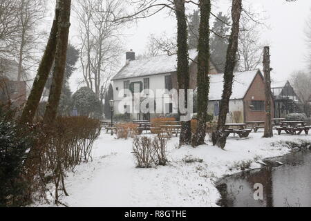 The Bush Pub Ovington Stock Photo - Alamy