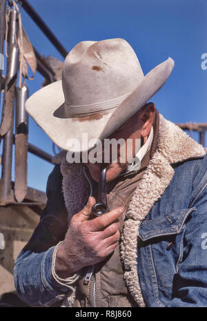 Texas Working Cowboy Stock Photo - Alamy