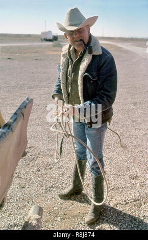 Texas Working Cowboy Stock Photo - Alamy