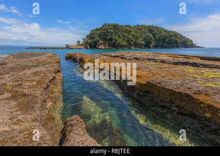 Goat Island Marine Reserve North Island New Zealand Stock Photo - Alamy