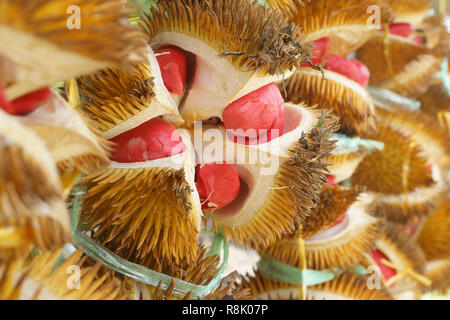 Exotic red colored durian native to the jungle of Sabah Malaysian ...