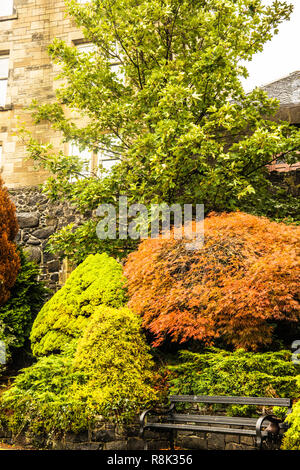 trees in autumn Ray Boswell Stock Photo - Alamy