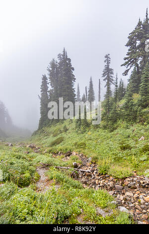 gray hazy day with fog over alpine meadow Stock Photo - Alamy