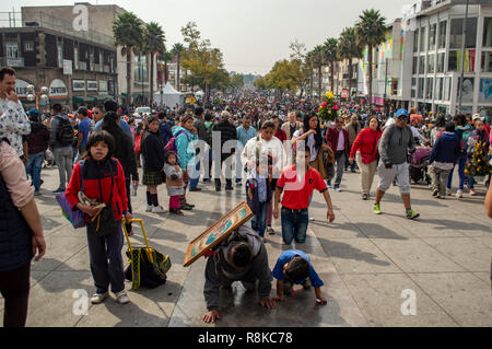 A pilgrim crawling to the Basilica of Our Lady of Guadalupe in Mexico ...