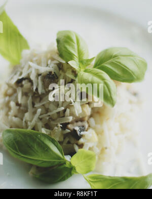european and mediterranean cuisine styled concept - mushroom risotto ...