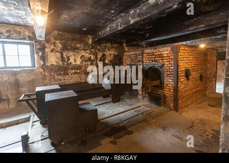 Poland, Auschwitz, Birkenau, German Nazi concentration and ...