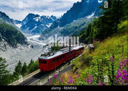 Montenvers Train in Chamonix Mont Blanc, France Stock Photo - Alamy