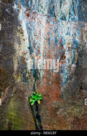 Close up view of a section of a cliff near the coastline Stock Photo ...
