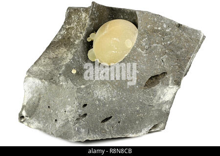 calcite from Montalto di Castro, Italy nestled in basalt matrix ...