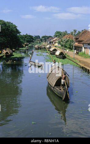 Boating in backwater, Kerala, India, Asia Stock Photo - Alamy