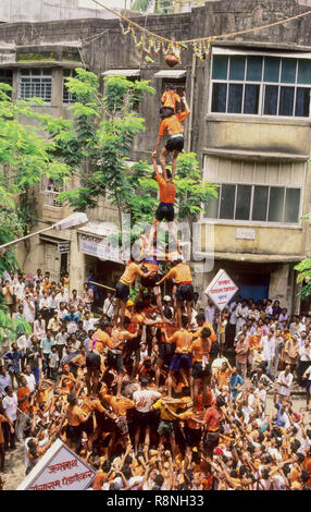 Dahi hundi ; human pyramid ; Janmashtami gokul ashtami festival ...